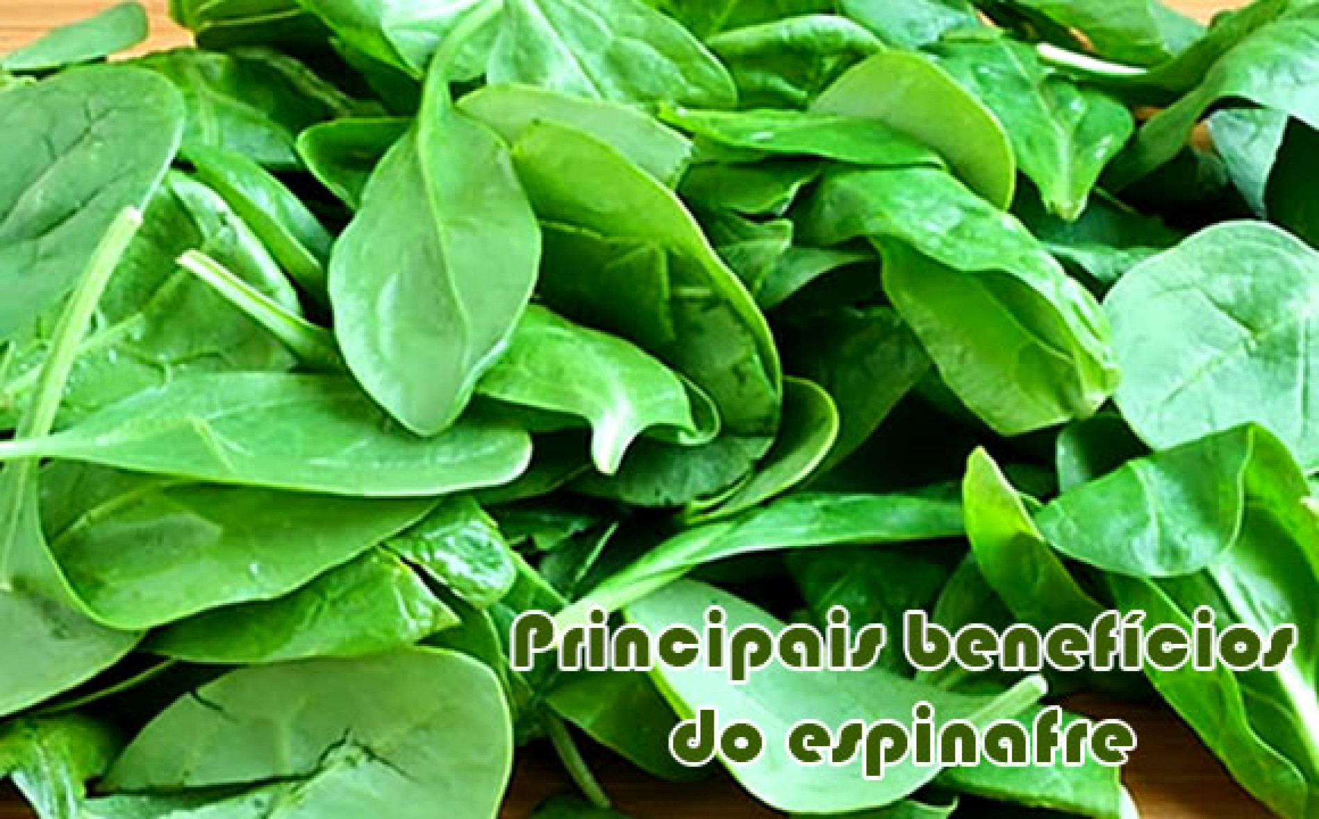 Conheça os principais benefícios do Espinafre | Receitas Fitness